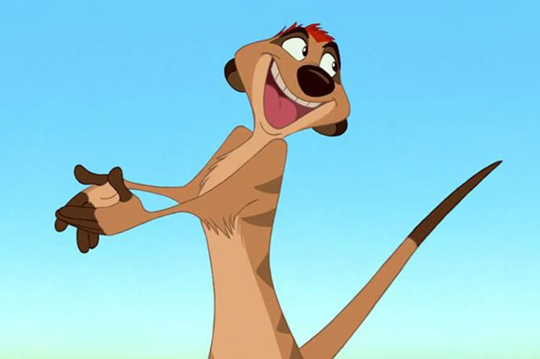11 Of Timon's Greatest Moments From 'The Lion King'