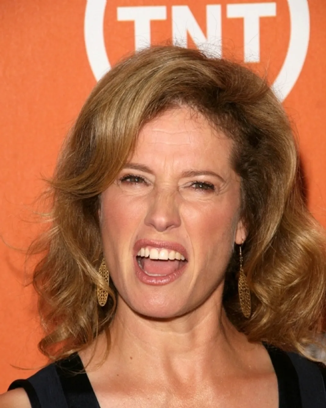 Nancy Travis Biography