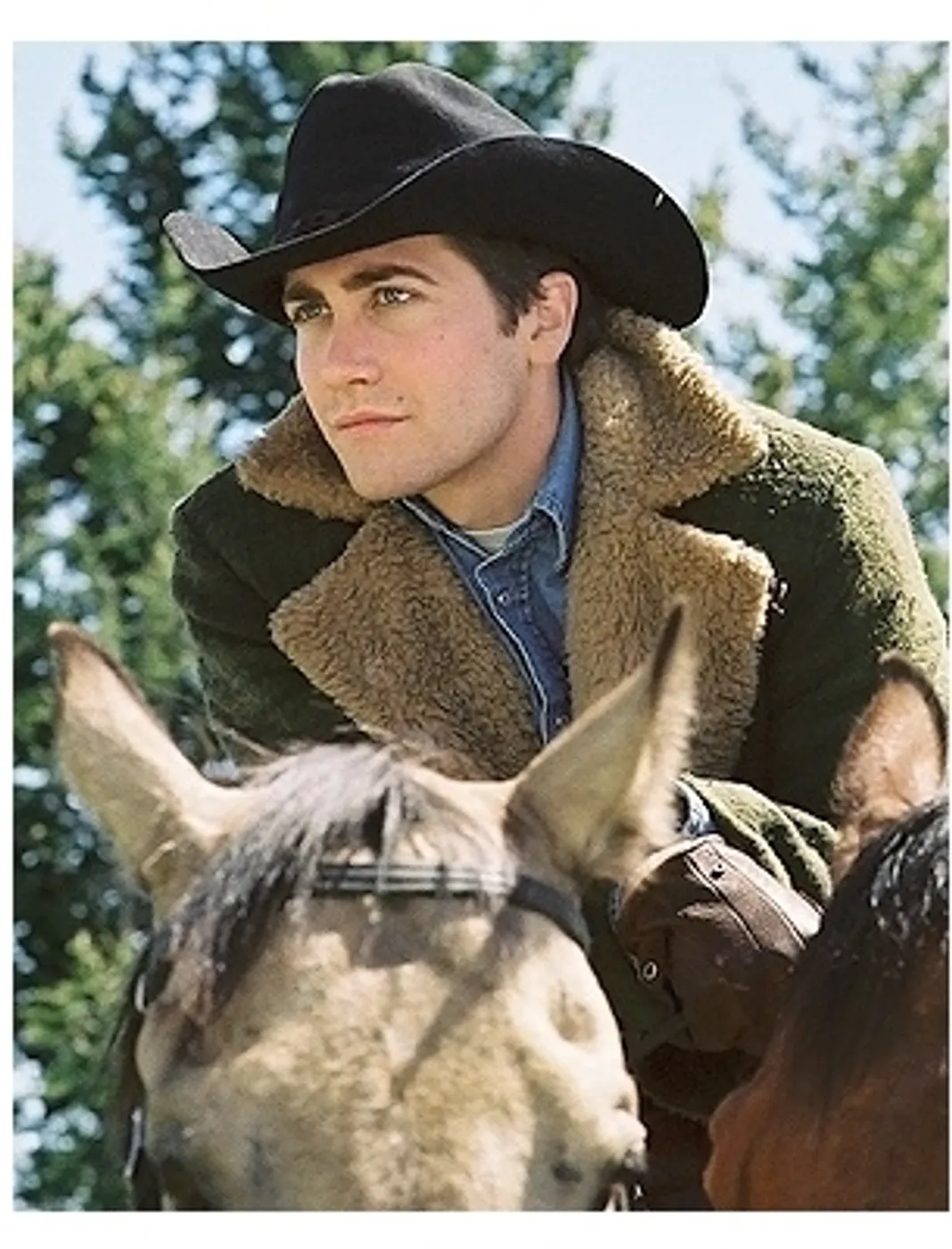 Brokeback Mountain Movie Stills